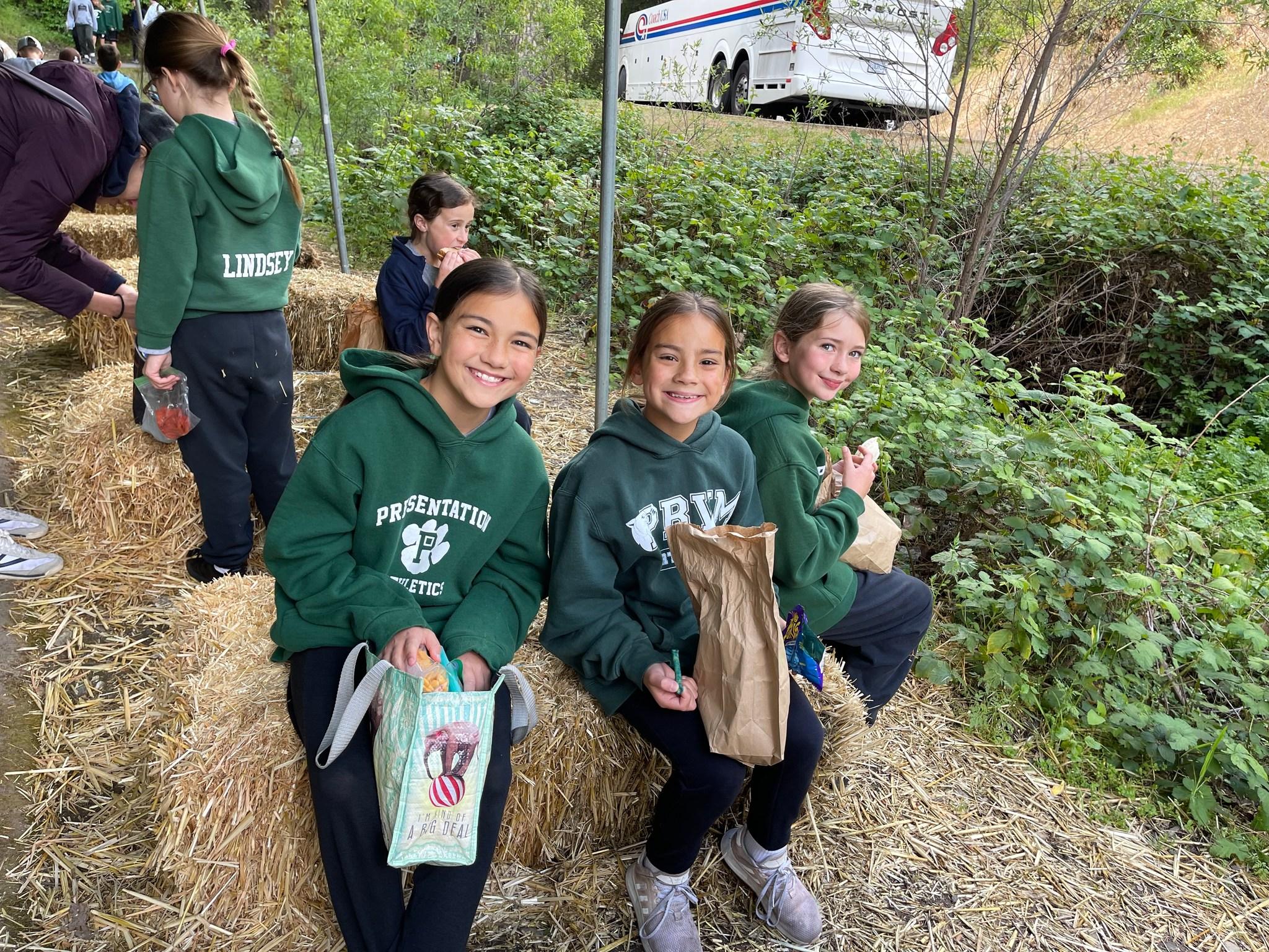 Curriculum - Presentation of the Blessed Virgin Mary School